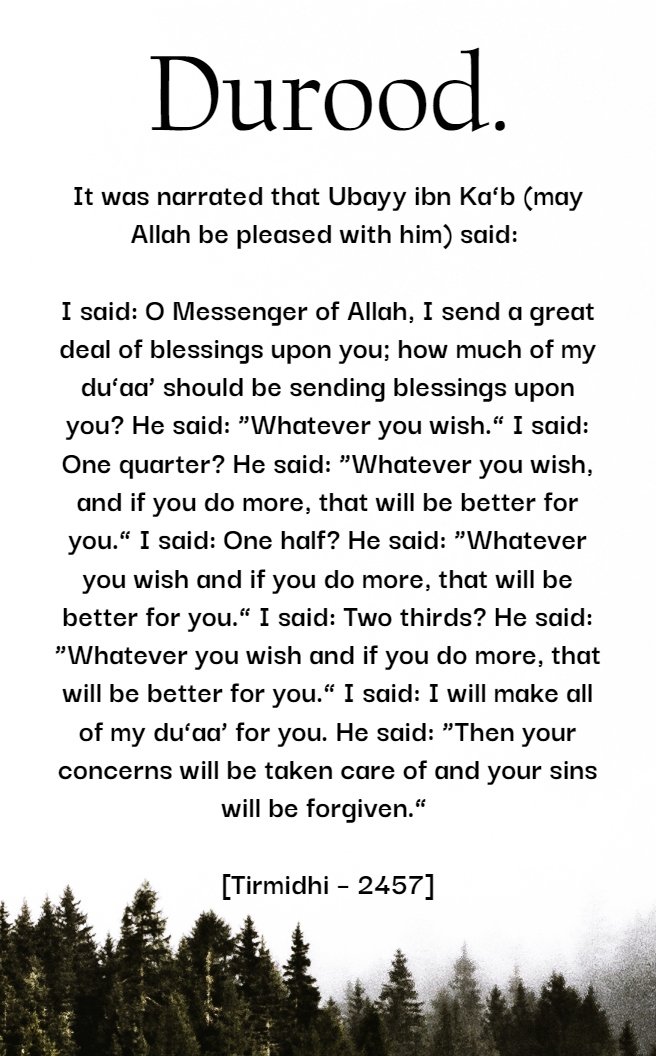 45+ Quran & Hadith Quotes in English | Islamic Quotes