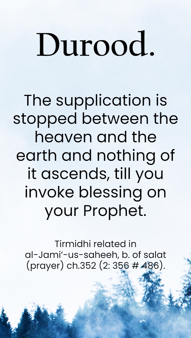 45+ Quran & Hadith Quotes in English | Islamic Quotes