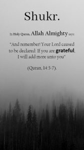 45+ Quran & Hadith Quotes in English | Islamic Quotes