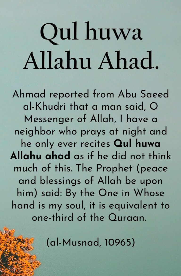 45+ Quran & Hadith Quotes in English | Islamic Quotes