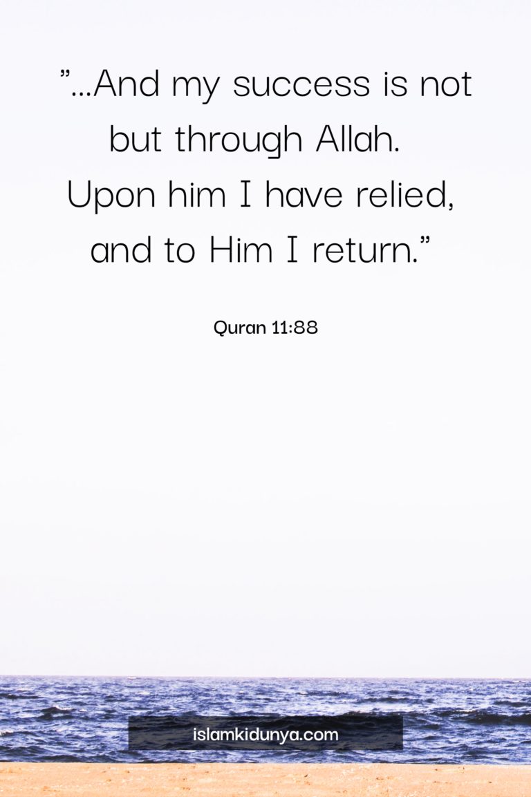 Beautiful Collection of The Holy Quran Quotes & Verses