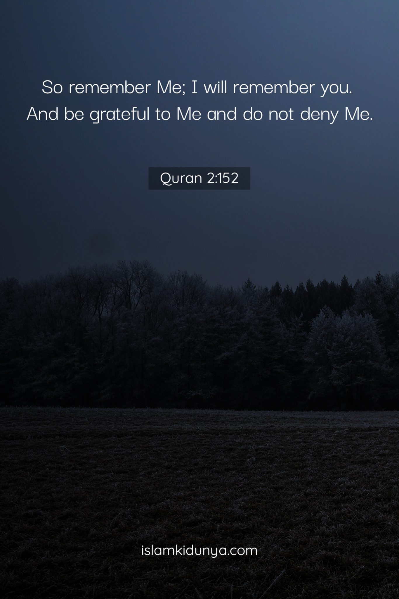 Beautiful Collection of The Holy Quran Quotes & Verses