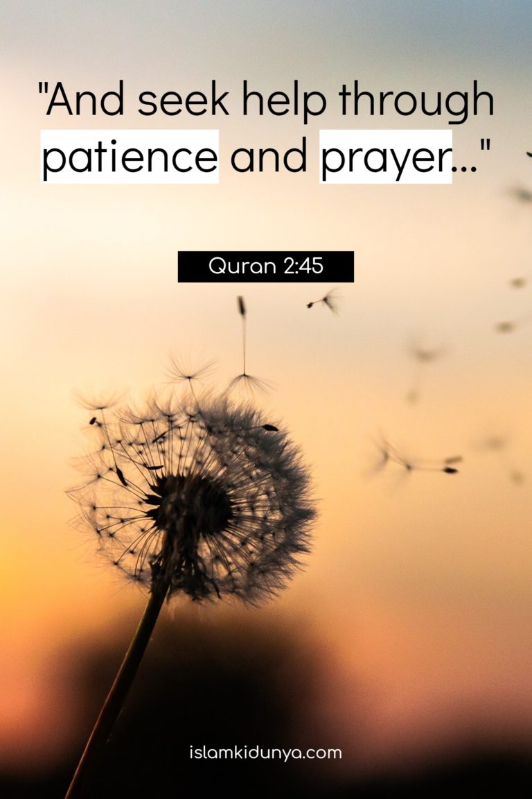 Beautiful Collection of The Holy Quran Quotes & Verses