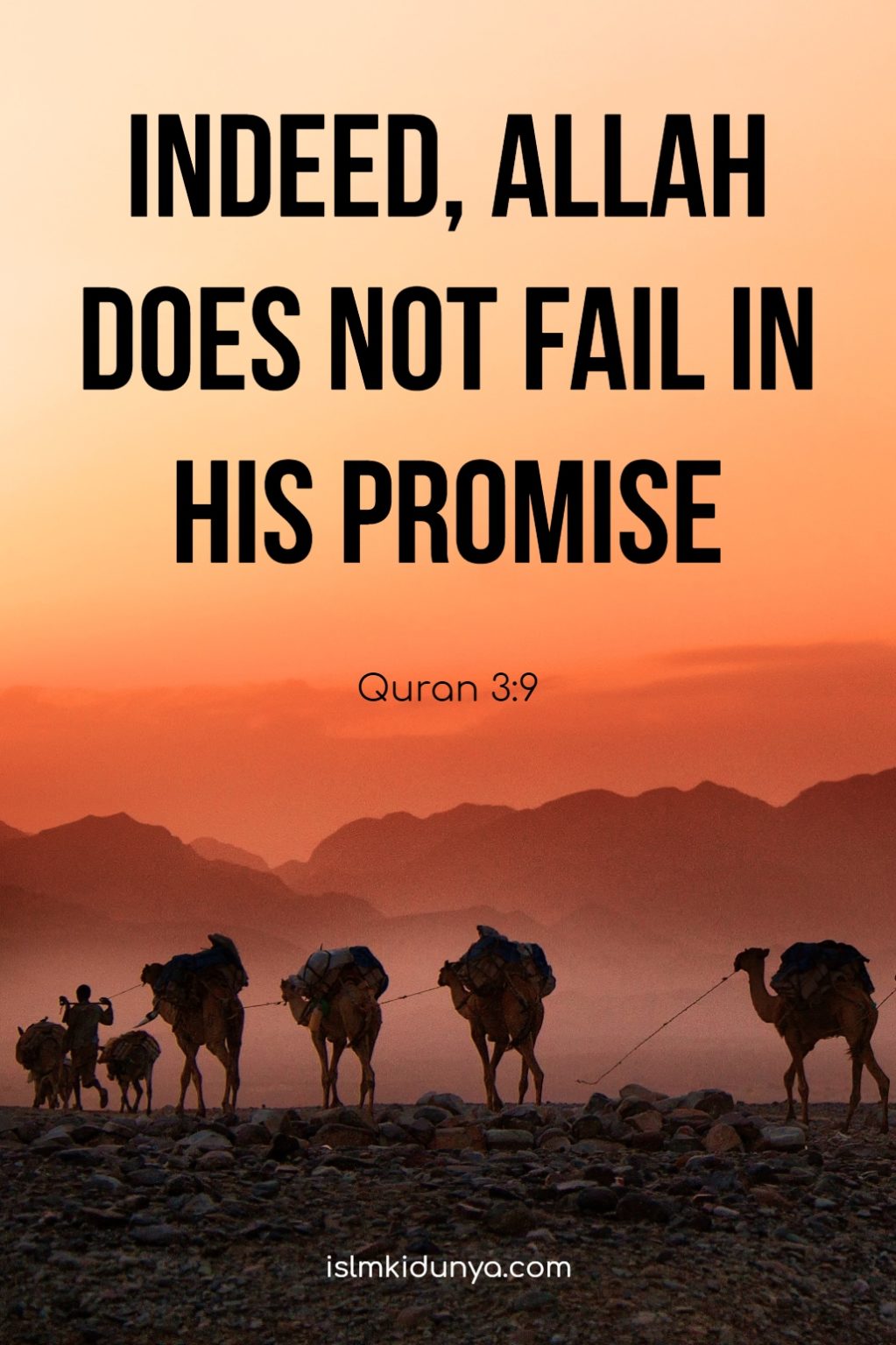 Beautiful Collection of The Holy Quran Quotes & Verses