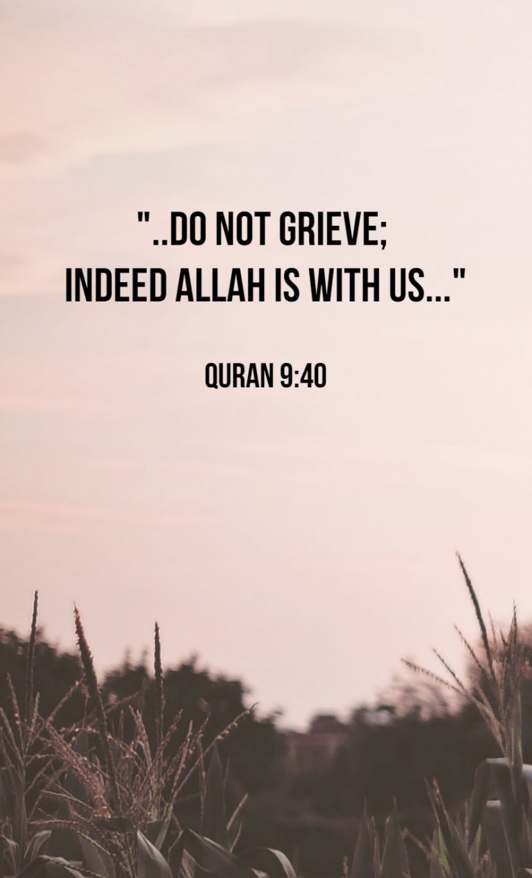 Beautiful Collection of The Holy Quran Quotes & Verses