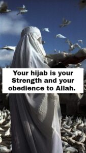 50+ Beautiful Hijab Quotes and Sayings for Muslim Women
