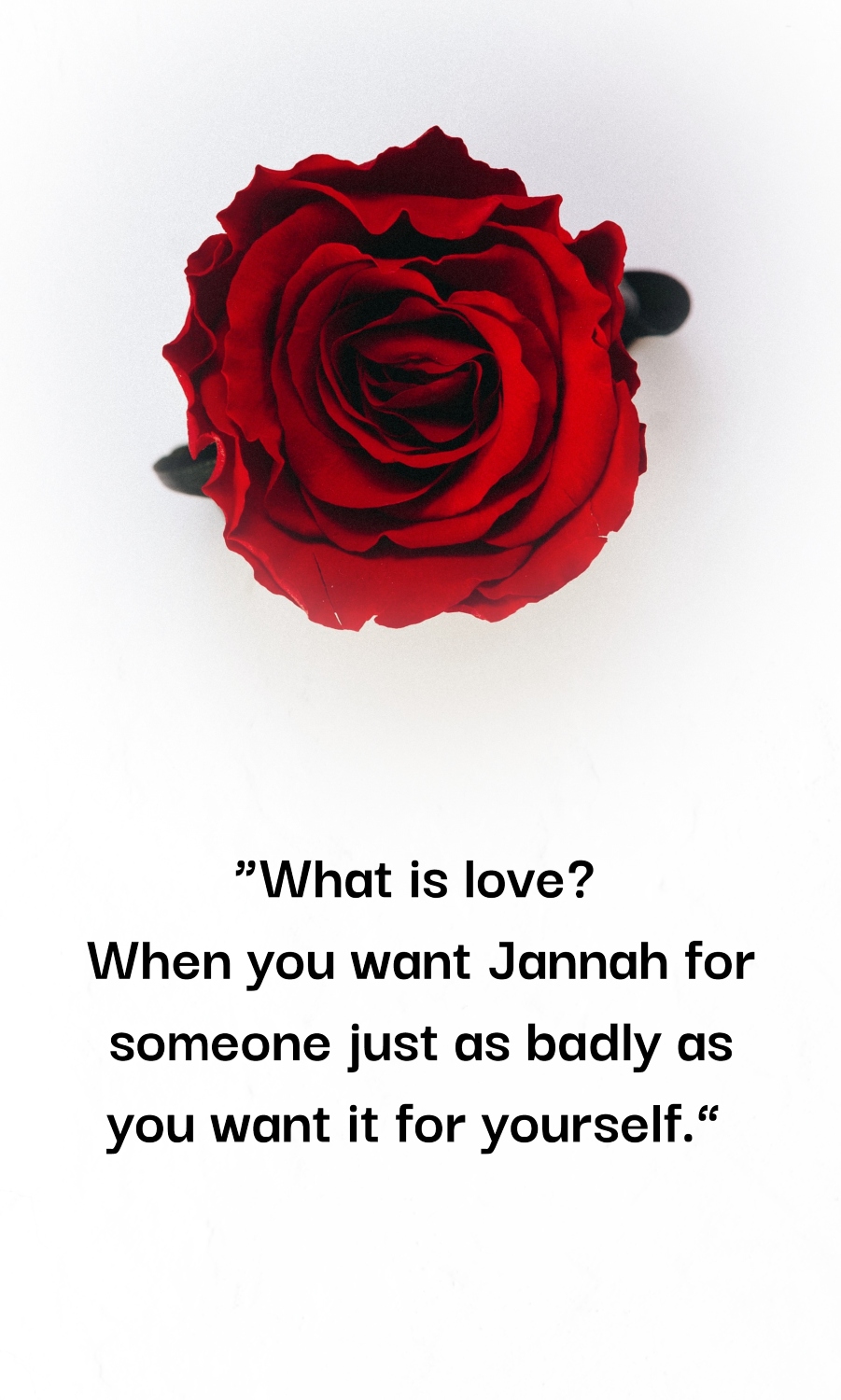 25+ Islamic Quotes On Jannah | Jannah (Paradise) Quotes with Images