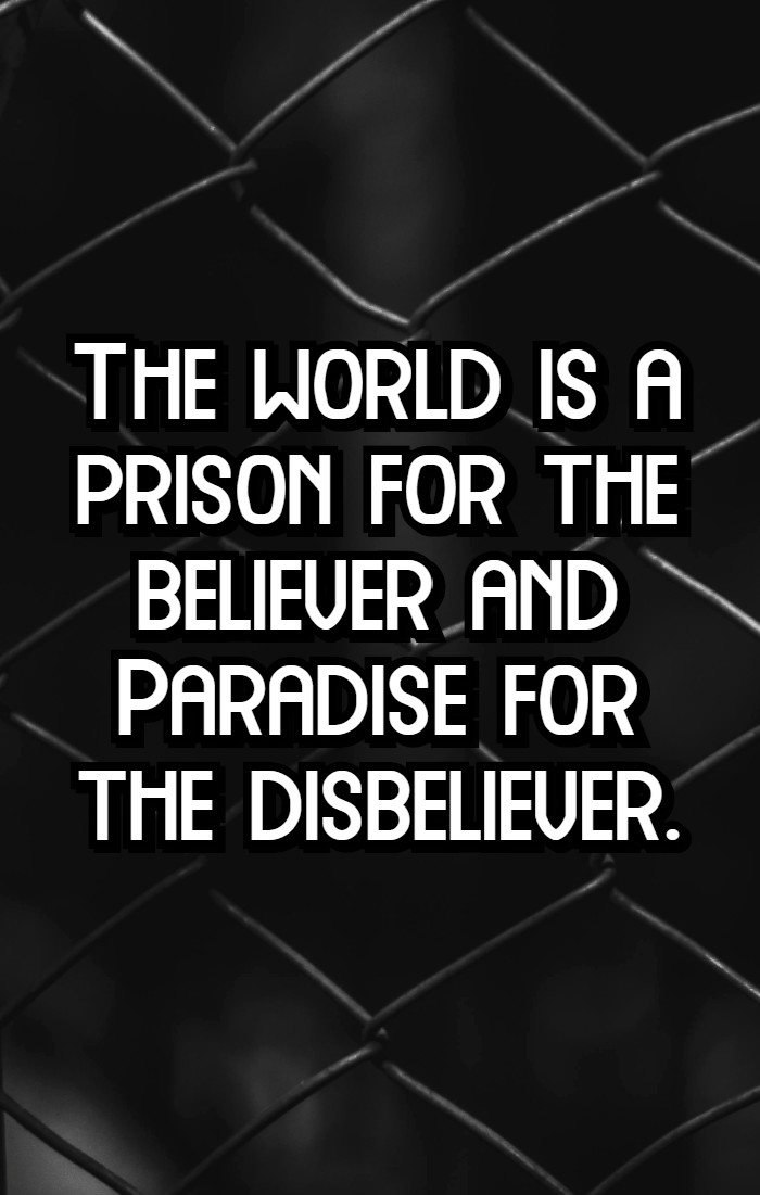 25+ Islamic Quotes On Jannah | Jannah (Paradise) Quotes with Images