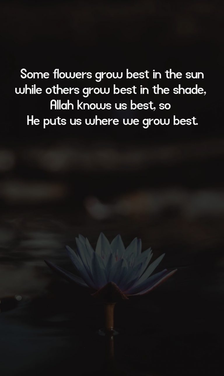 100+ Inspirational Islamic Quotes in English with Beautiful Images (Part2)