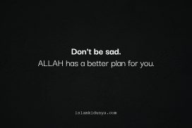 40+ Islamic Quotes about Life - Relief from Depression and Sadness