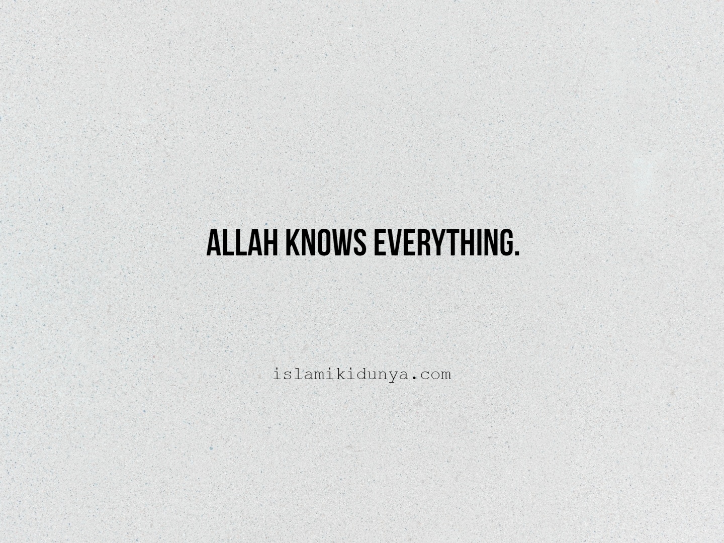 Islamic Life Quotes - Inspirational and Motivational Islamic Life Quotes