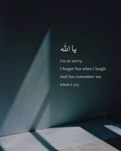 40+ Islamic Quotes about Life - Relief from Depression and Sadness