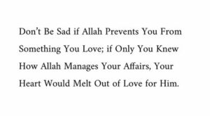 40+ Islamic Quotes about Life - Relief from Depression and Sadness