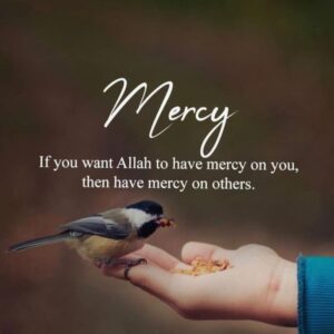 40+ Islamic Quotes about Life - Relief from Depression and Sadness