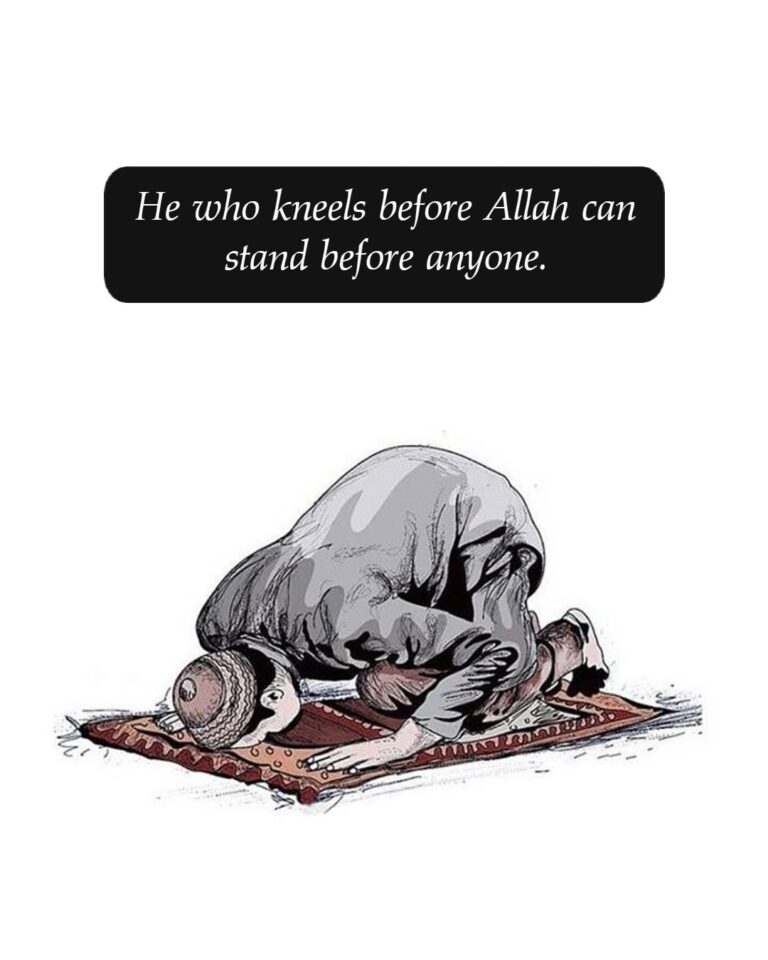 40+ Islamic Whatsapp Status Quotes in English | Islamic Whatsapp Quotes