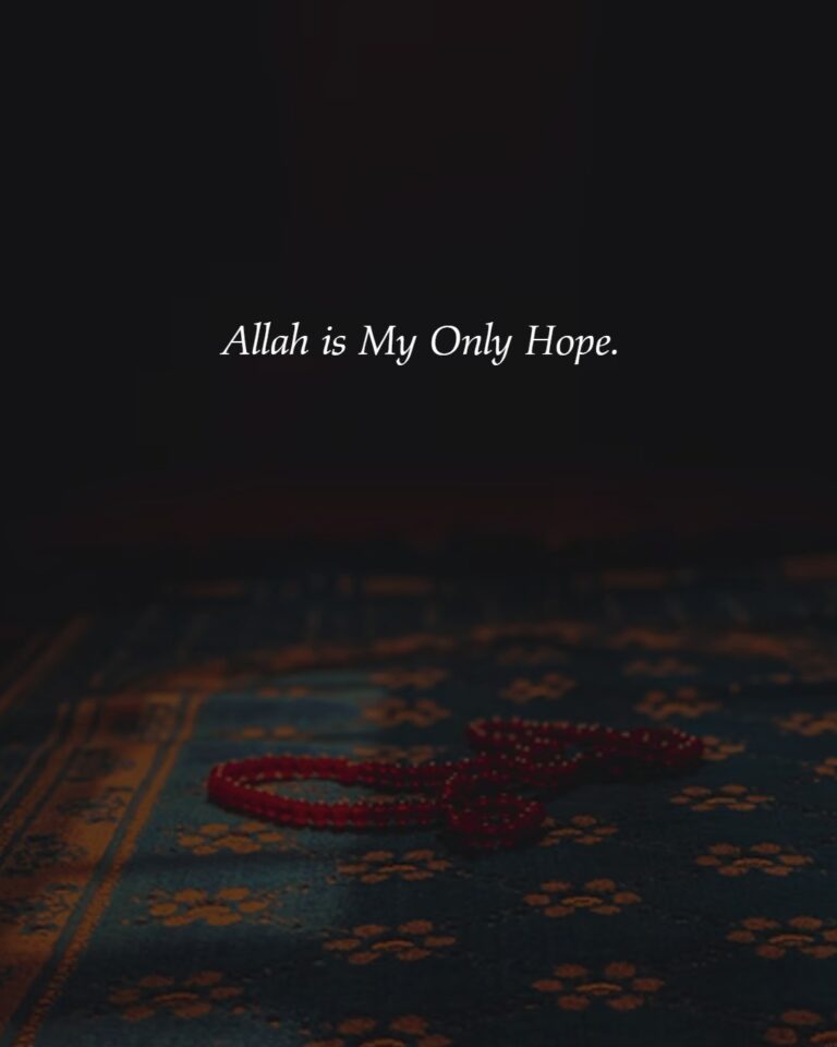 40+ Islamic Whatsapp Status Quotes in English | Islamic Whatsapp Quotes