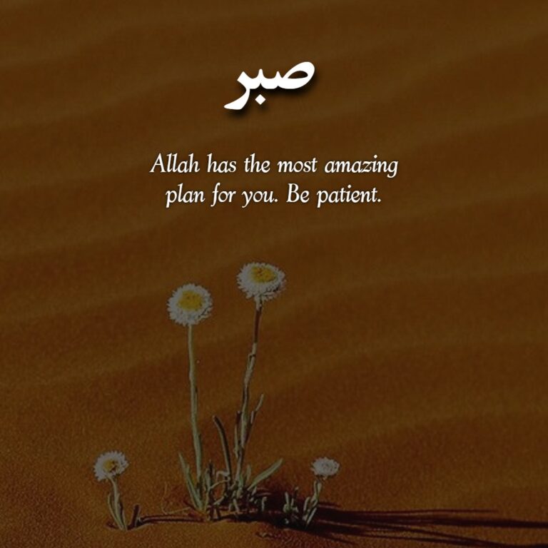 35+ Powerful Islamic Quotes That Will Make Your Believe Stronger