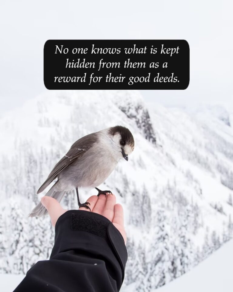 40+ Islamic Whatsapp Status Quotes in English | Islamic Whatsapp Quotes