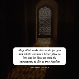 May Allah Bless You Quotes & Wishes | May Allah Quotes Collection