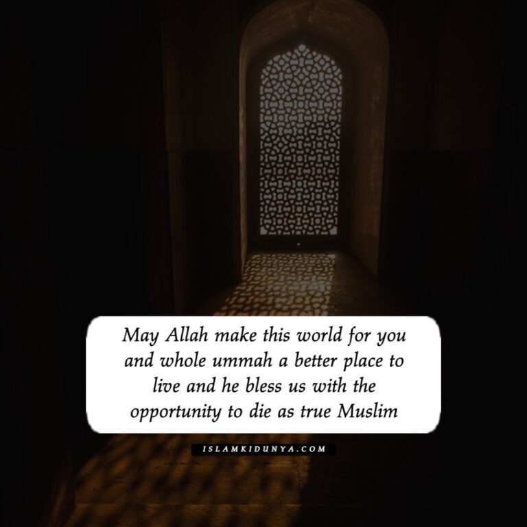 May Allah Bless You Quotes & Wishes | May Allah Quotes Collection