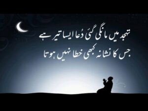 Allah Made Everything - Zain Bhikha (Lyrics) | Islamic Nasheed Lyrics