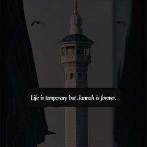 Islamic Quotes About Hardship & Test | Difficult Time Quotes