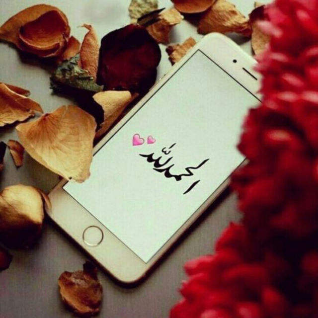 50+Beautiful Islamic DP Images for WhatsApp & Instagram