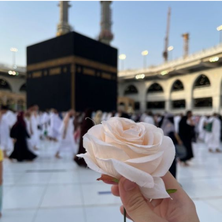 50+Beautiful Islamic DP Images for WhatsApp & Instagram