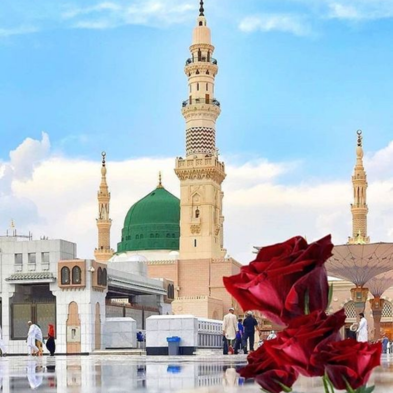 50+Beautiful Islamic DP Images for WhatsApp & Instagram