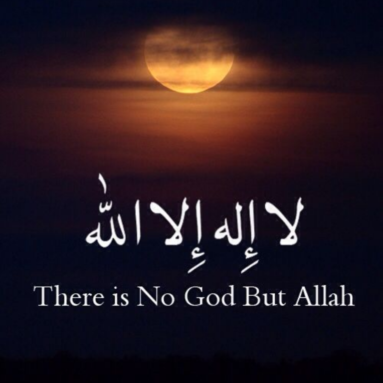 50+Beautiful Islamic DP Images for WhatsApp & Instagram