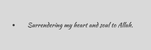 90+ Islamic Bio for Instagram & WhatsApp