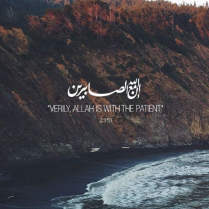 50+Beautiful Islamic DP Images for WhatsApp & Instagram