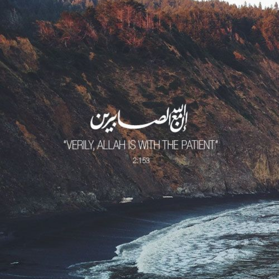 50+Beautiful Islamic DP Images for WhatsApp & Instagram